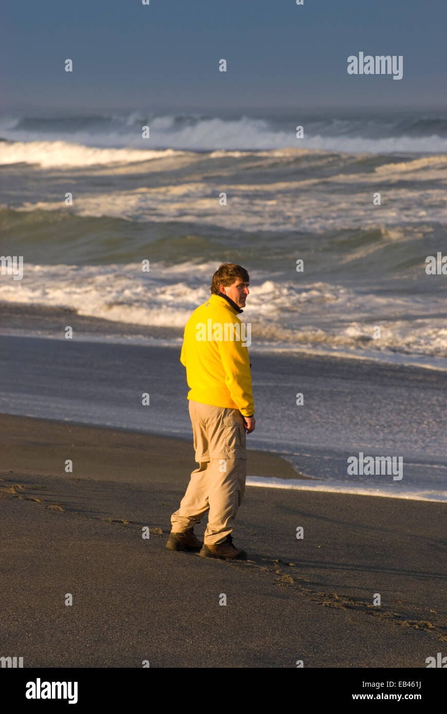 Beach, Harry A Merlo State Park, California Stock Photo - Alamy