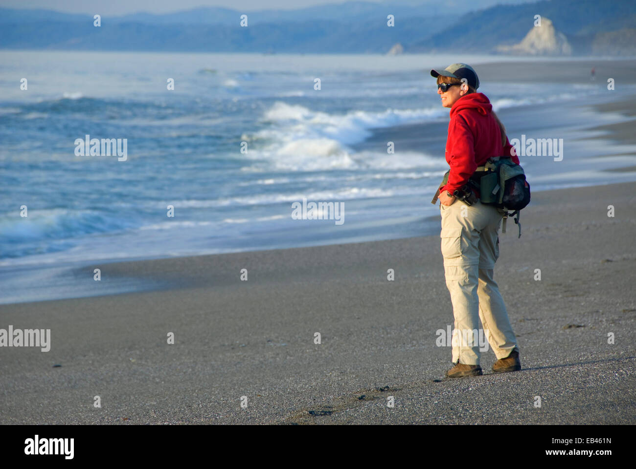 Beach, Harry A Merlo State Park, California Stock Photo - Alamy