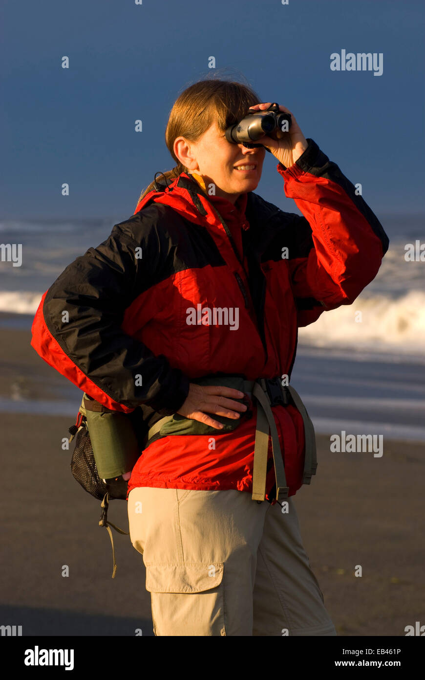 Birding on the beach, Harry A Merlo State Park, California Stock Photo ...