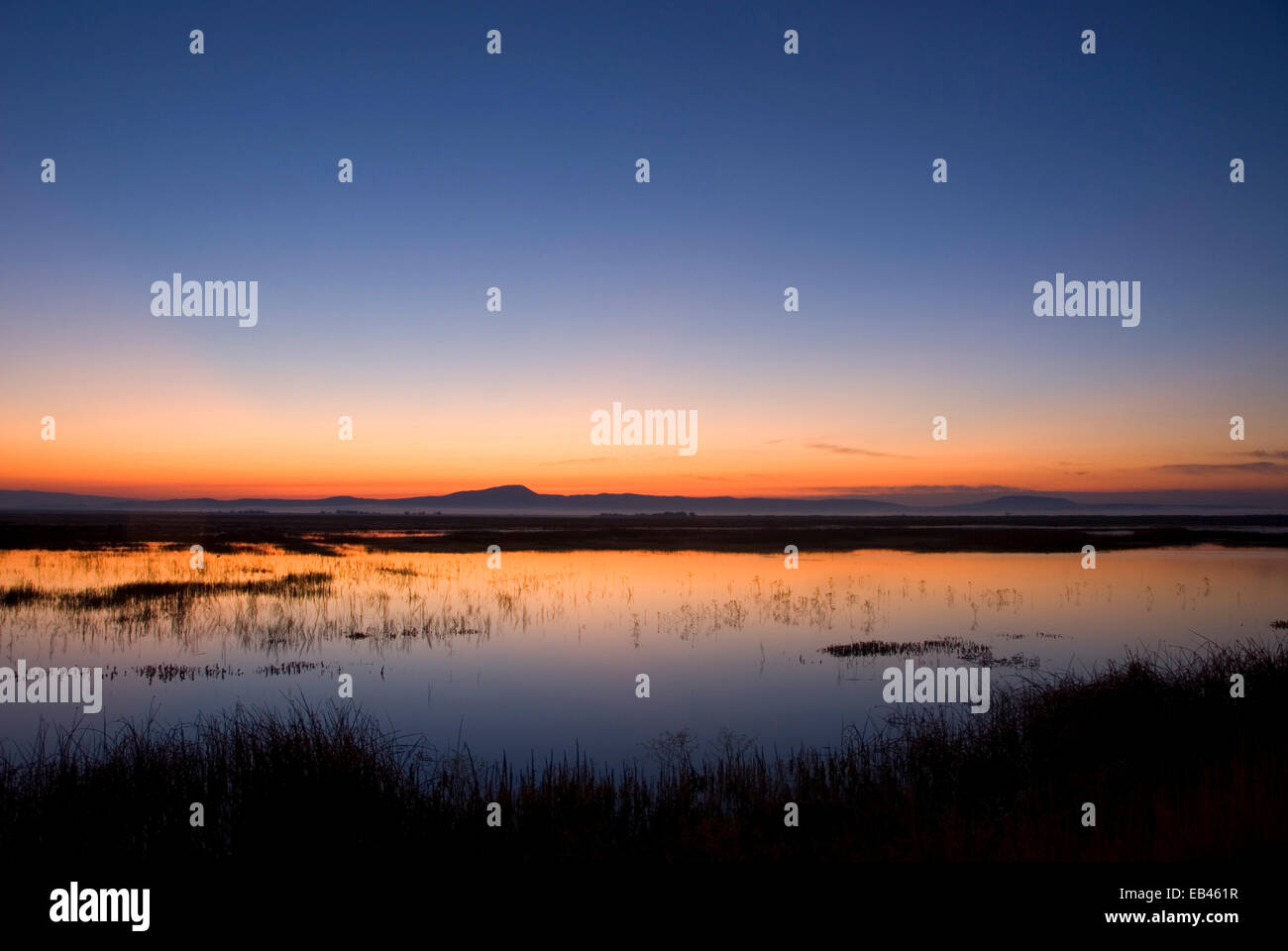 Wetland dawn, Lower Klamath National Wildlife Refuge, California Stock ...