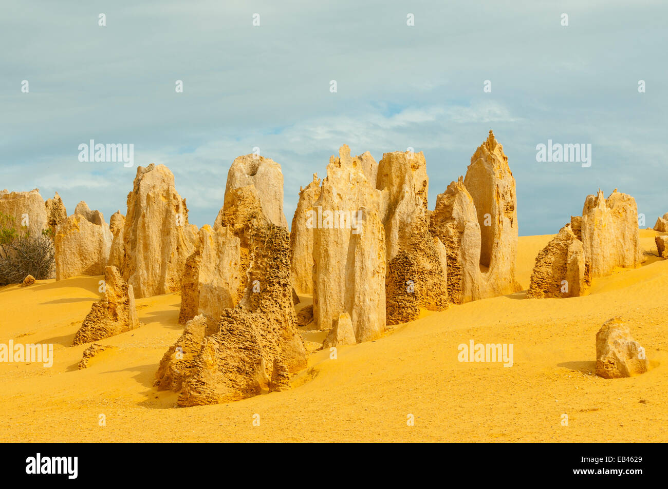 The Pinnacles, Nambung NP, WA, Australia Stock Photo - Alamy