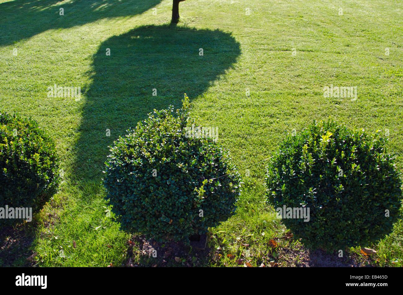 Beautiful landscaped grounds hi-res stock photography and images - Alamy