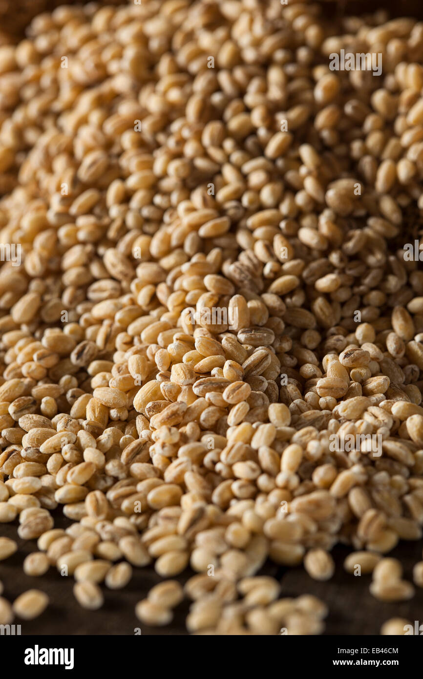 Whole grain barley hi-res stock photography and images - Alamy