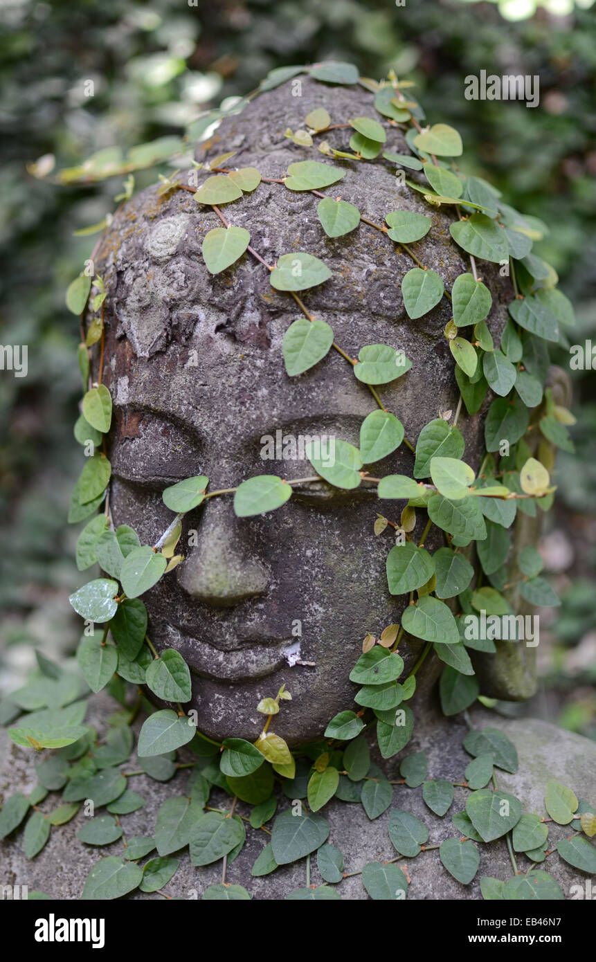 Vines at the head of a Buddha statue in old metropolitan Trowulan ...