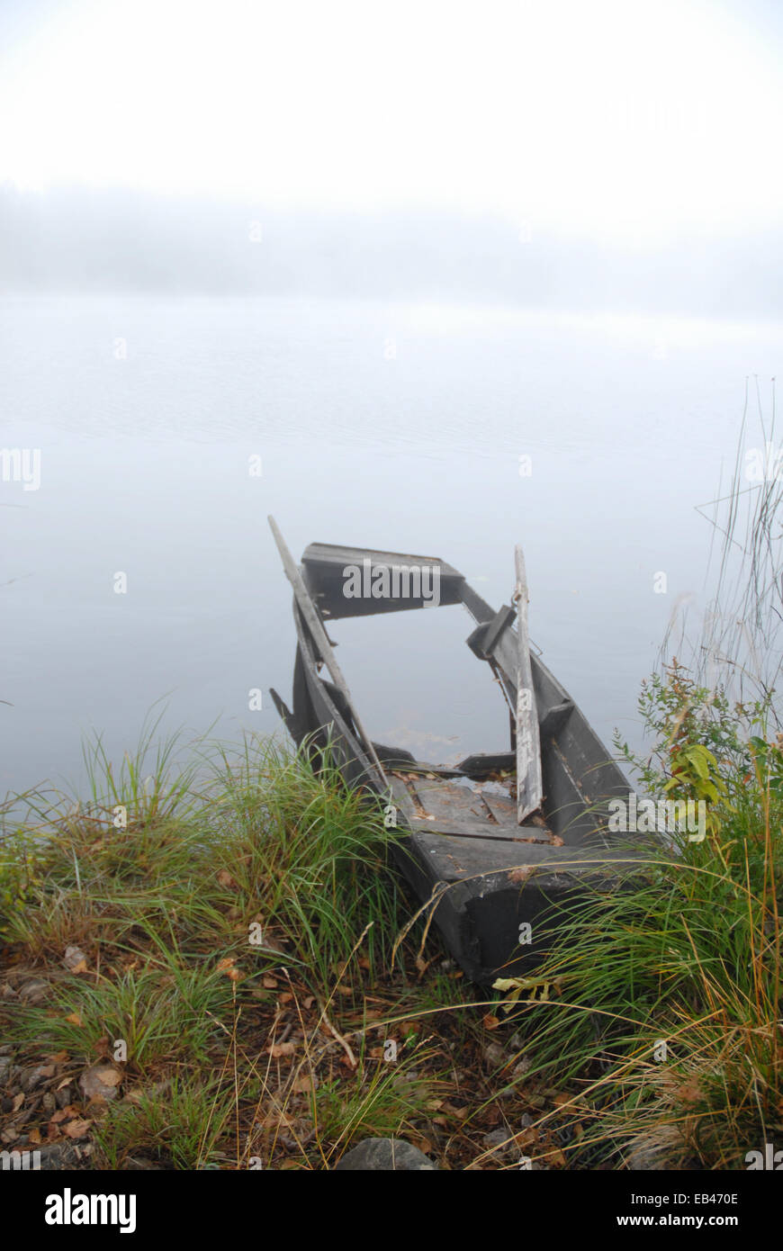 Drowned Leaves High Resolution Stock Photography and Images - Alamy