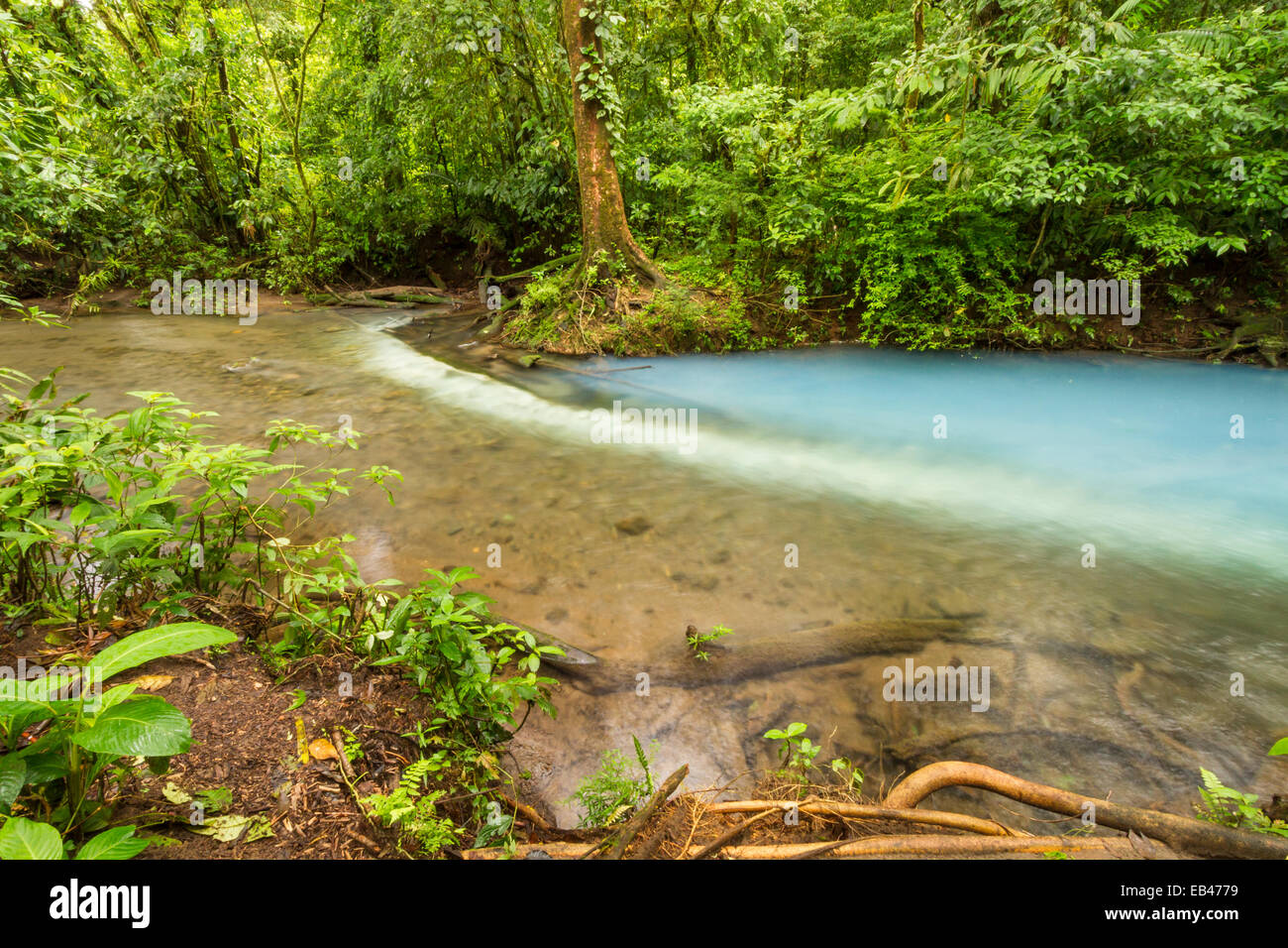 Sulphur from one stream reacts with sediment from another to form the ...