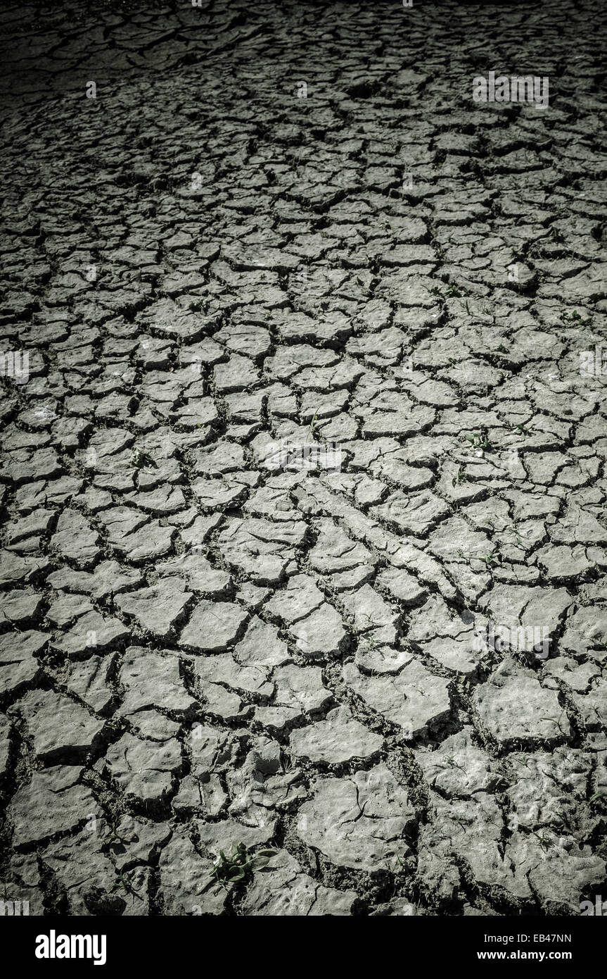 Drought Cracked Ground Stock Photo - Alamy