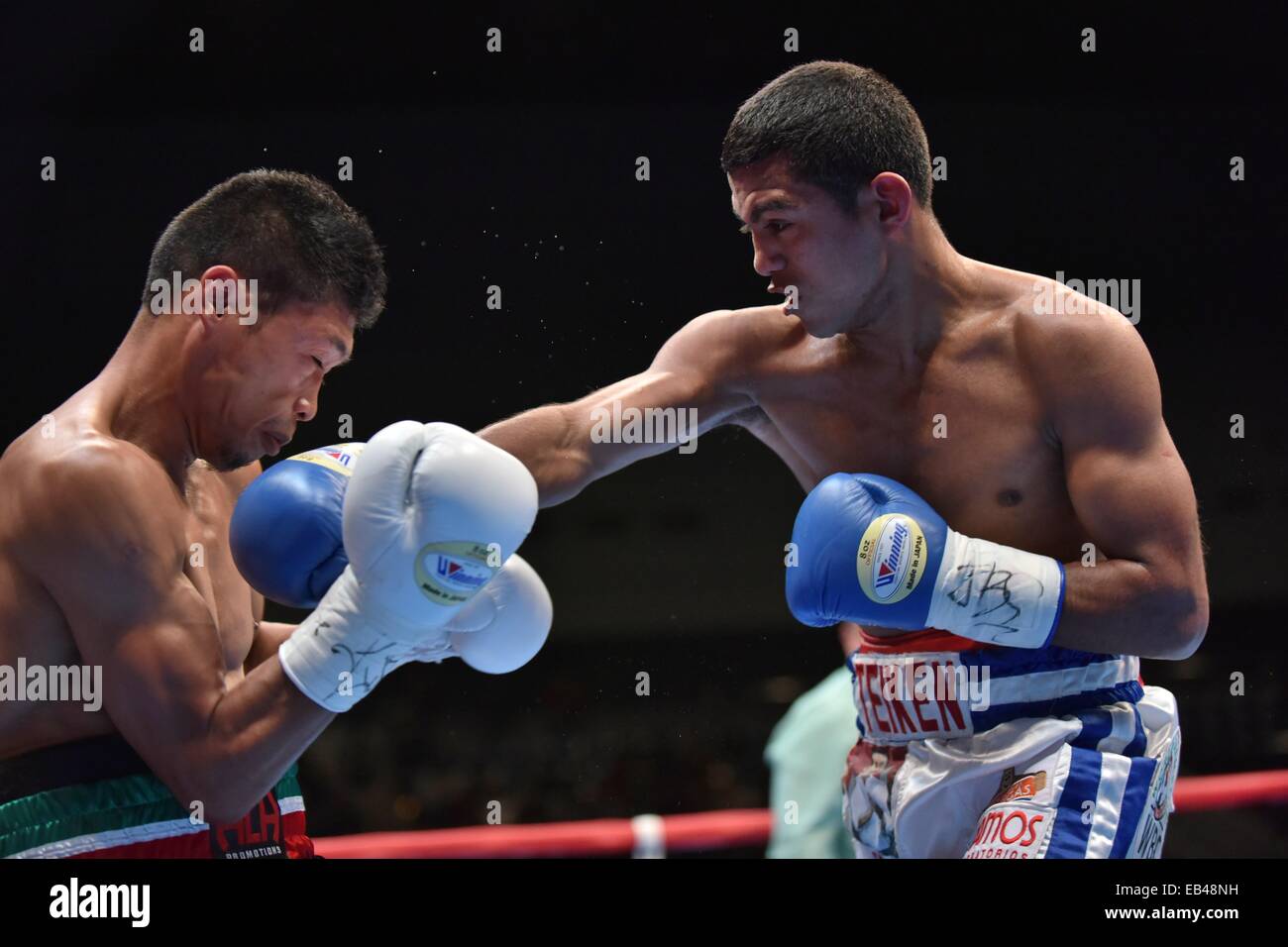 Kanagawa, Japan. 22nd Nov, 2014. (L-R) Rocky Fuentes (PHI), Roman ...