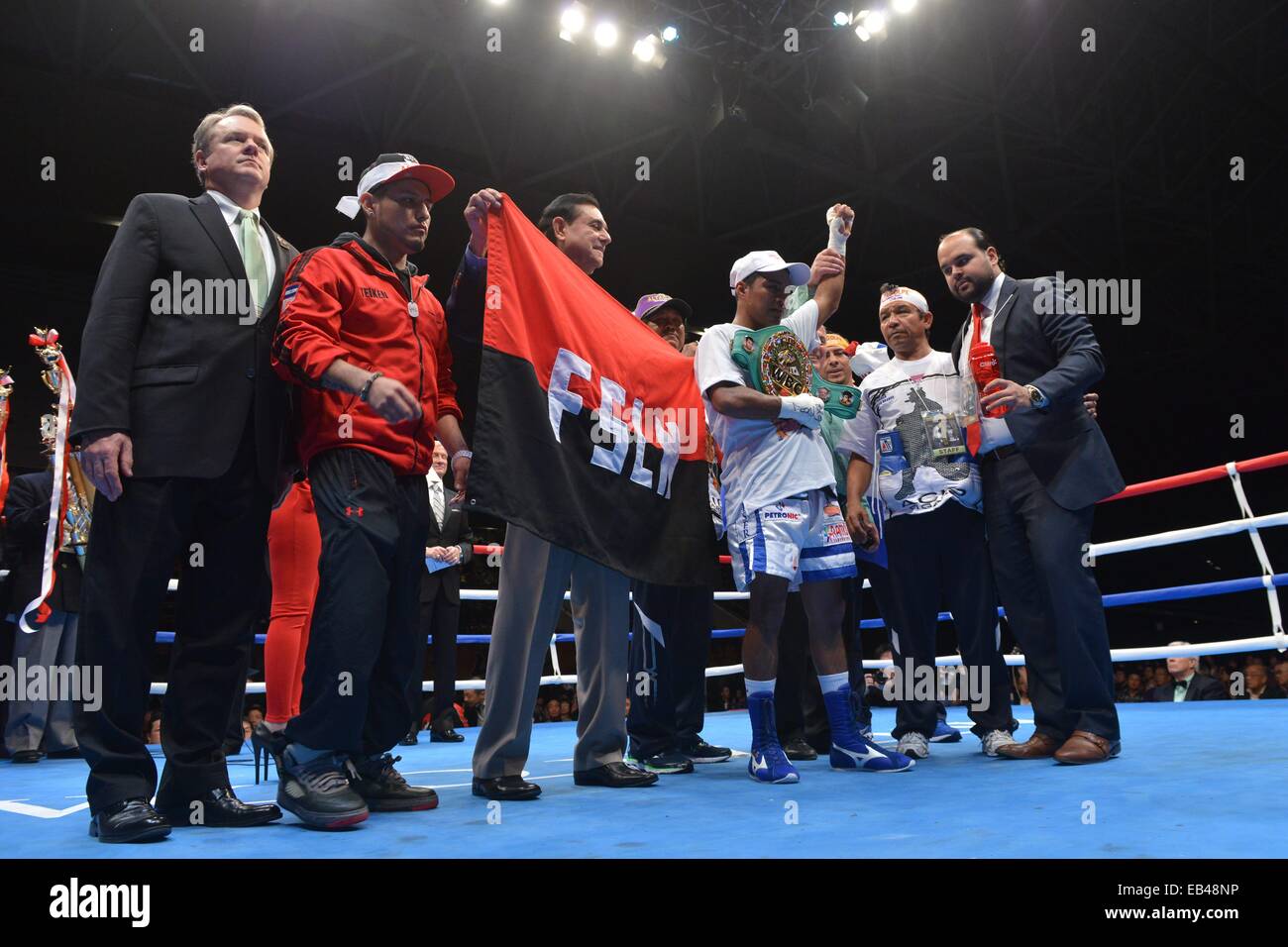 Kanagawa, Japan. 22nd Nov, 2014. Roman Gonzalez (NCA) Boxing : Roman ...