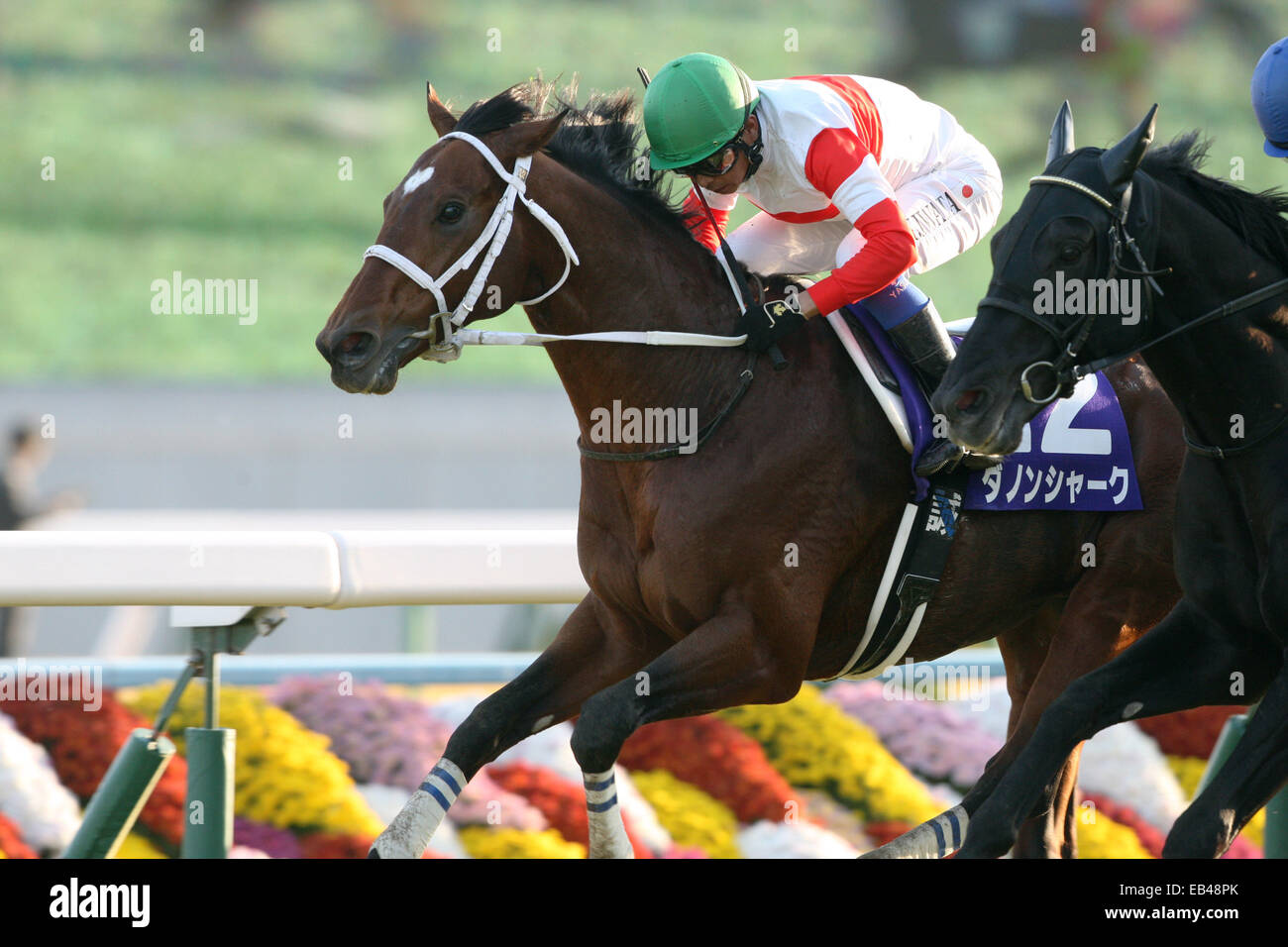 Kyoto, Japan. 23rd Nov, 2014. (L-R) Danon Shark (Yasunari Iwata), Fiero ...