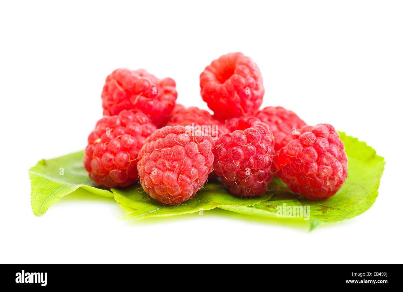 ripe red raspberry on green laeves isolated on white background Stock ...