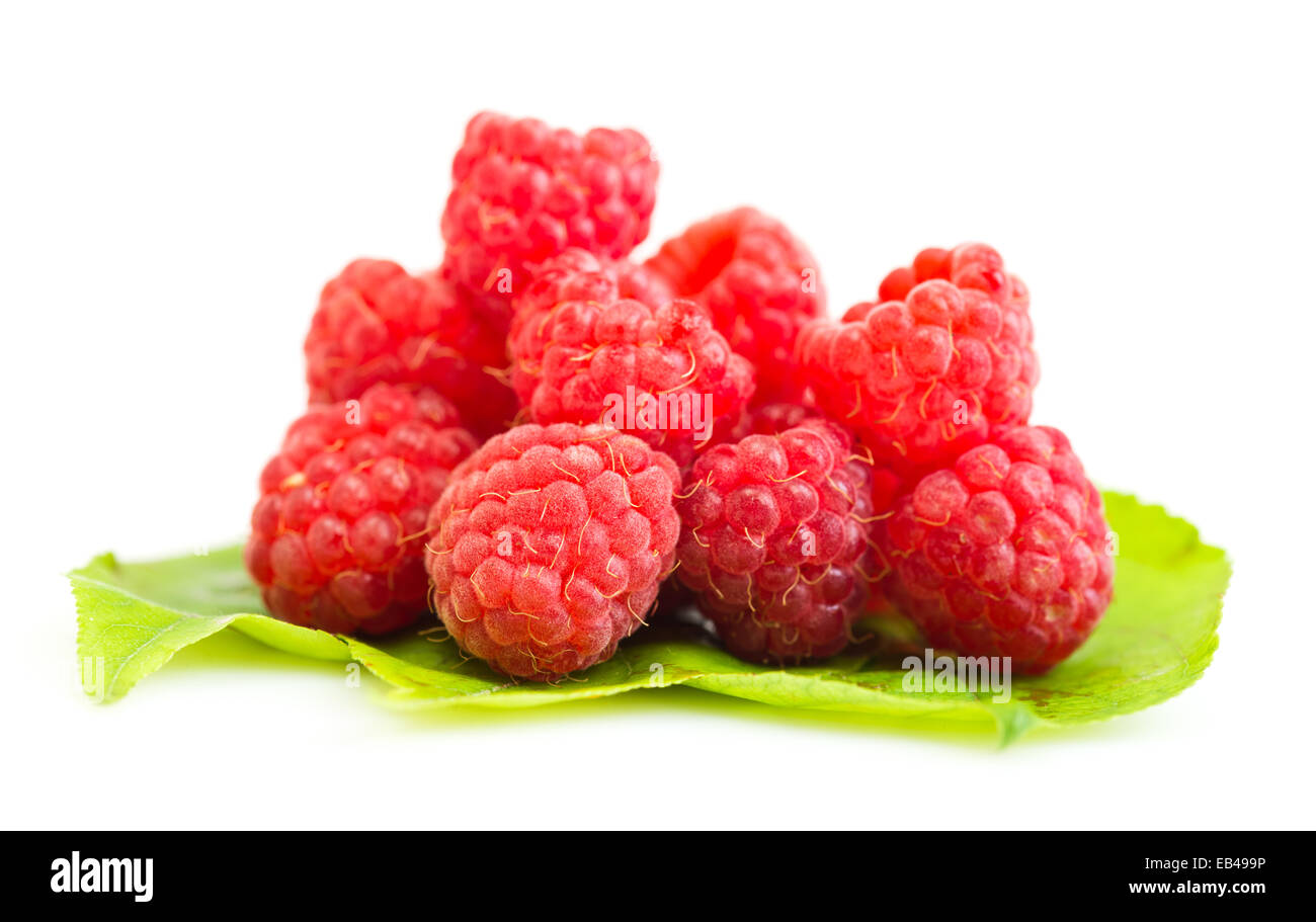 ripe red raspberry on green laeves isolated on white background Stock ...