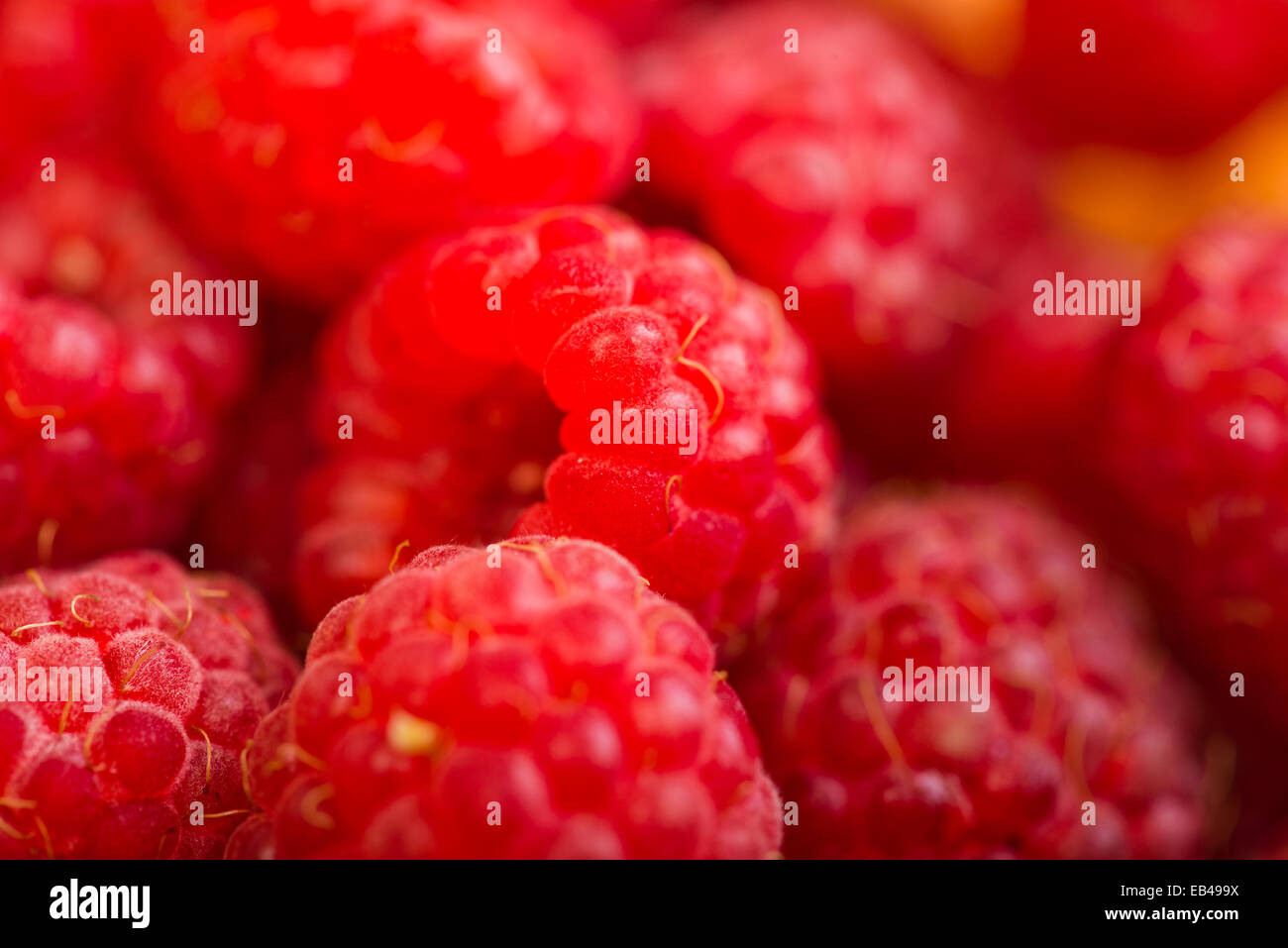 Raspberry fruit background Stock Photo - Alamy