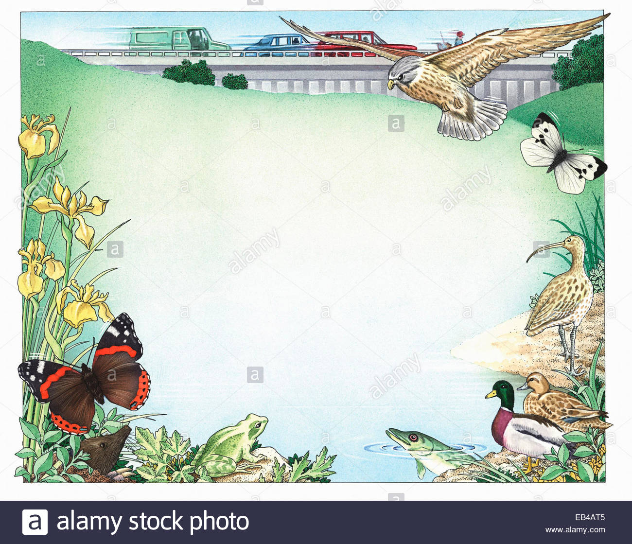Ecosystem Illustration Pond Stock Photos & Ecosystem Illustration Pond ...