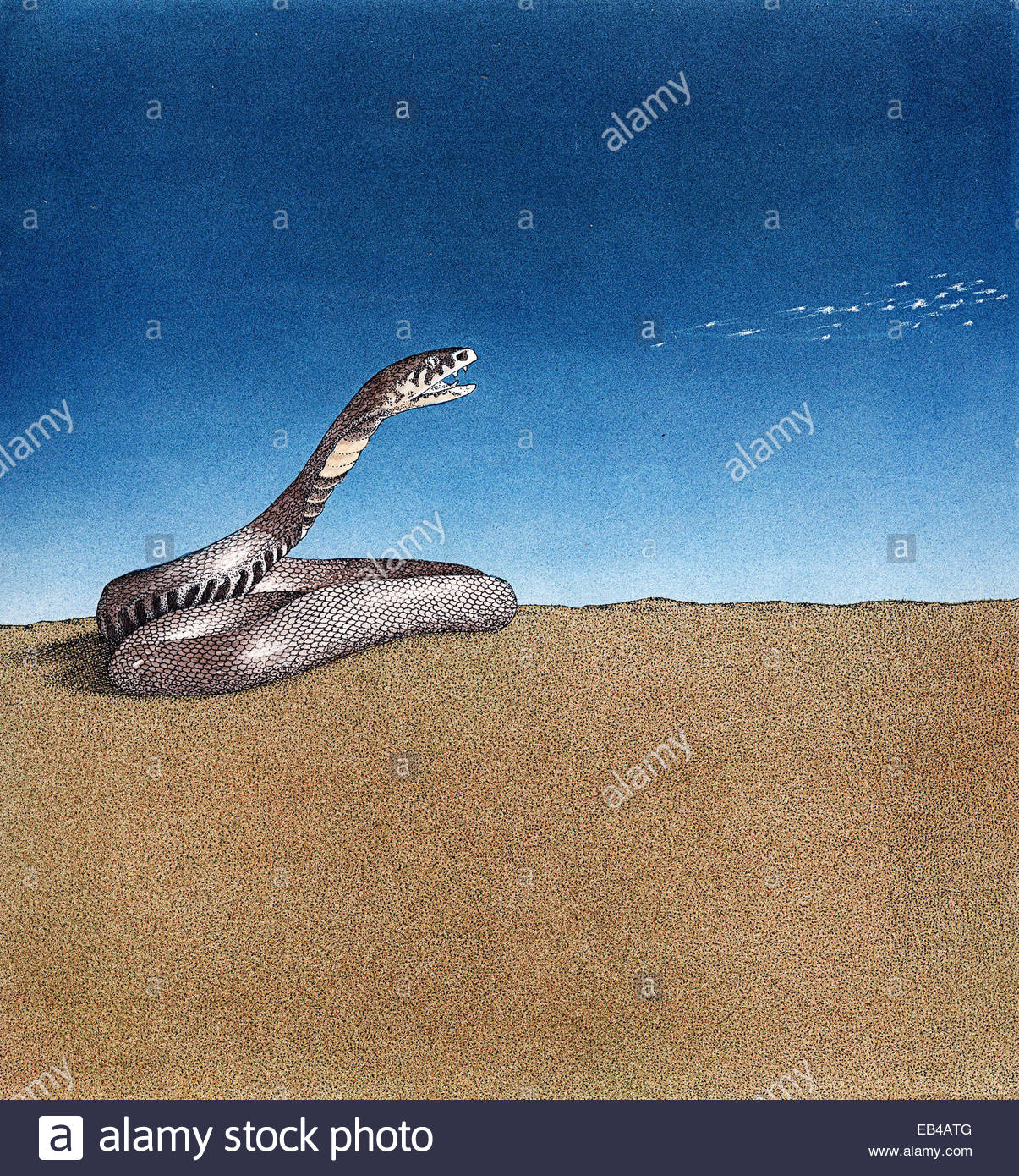 Spitting Image Stock Photos & Spitting Image Stock Images - Alamy