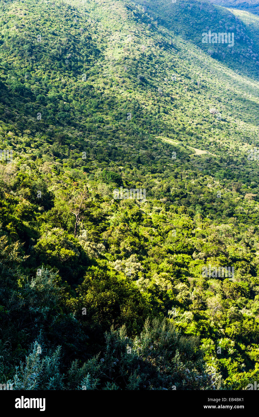 A tropical rainforest canopy covers the slope of an extinct volcano ...