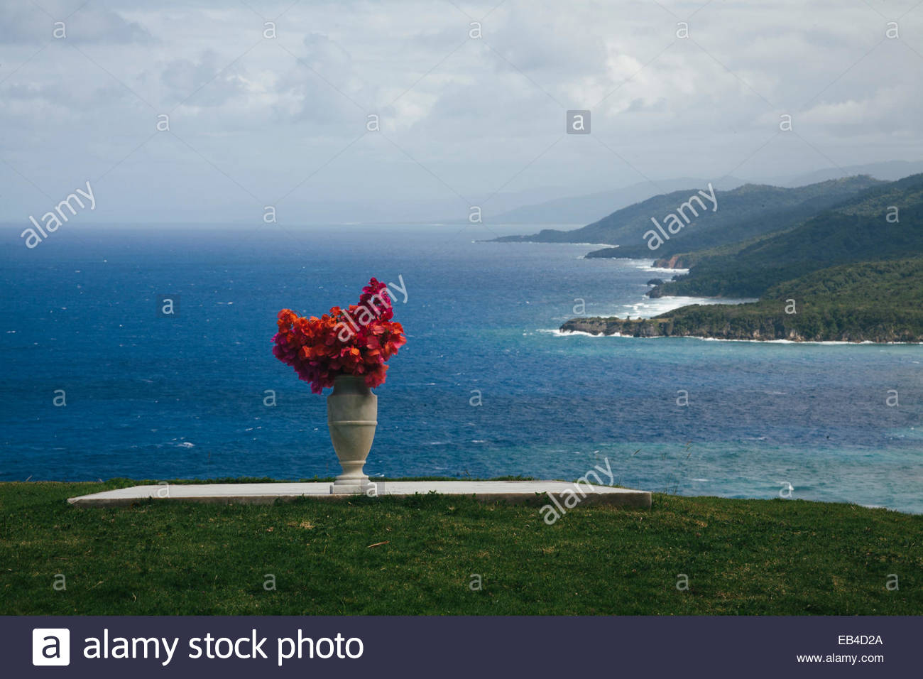 Firefly Jamaica Stock Photos & Firefly Jamaica Stock Images - Alamy