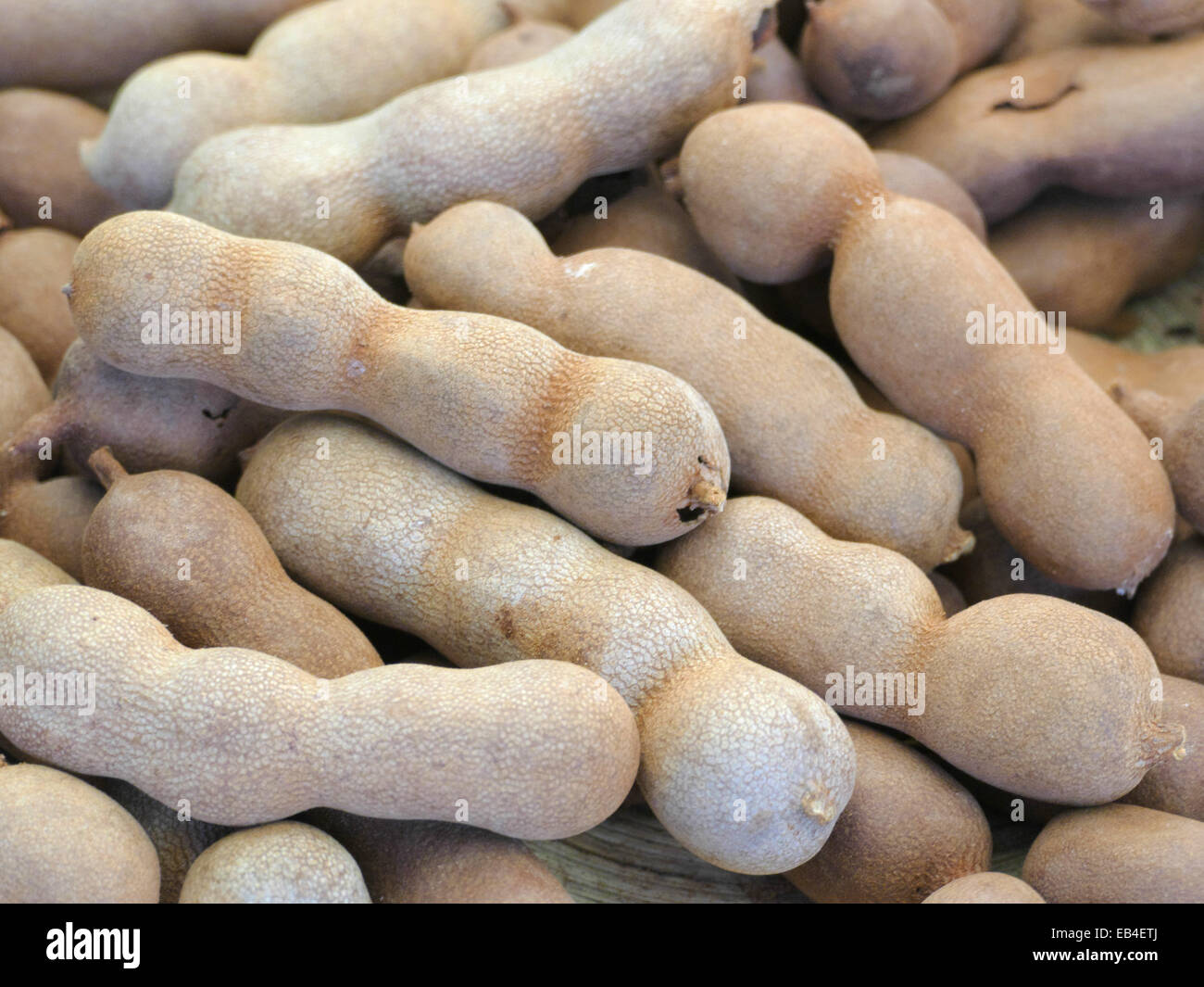 Tamarinden hi-res stock photography and images - Alamy