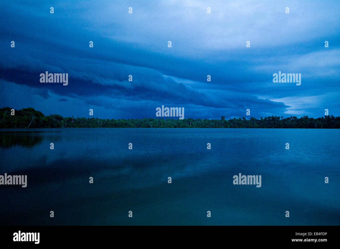 A shelf cloud rolls across the Amazon basin rainforest bringing rain ...