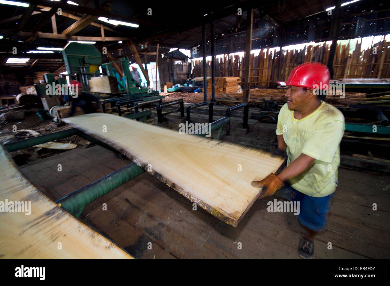 Amazon rainforest interior view hi-res stock photography and images - Alamy