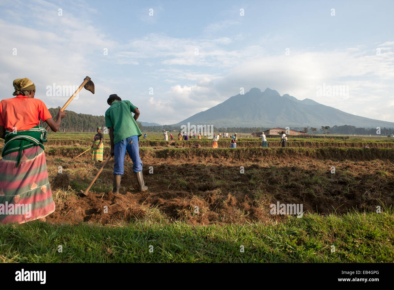Open farming ridges hi-res stock photography and images - Alamy