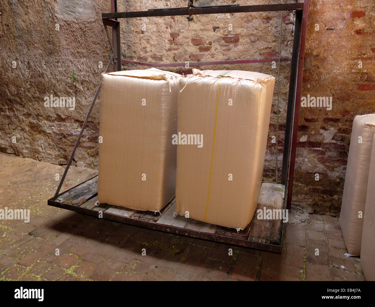 Germany Bavaria Hallertau Hops packed in big bag ready to be lifted up ...