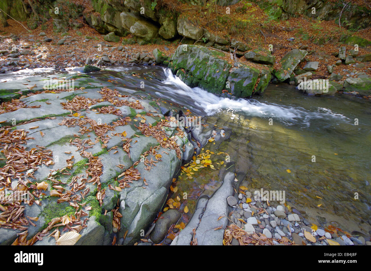Falling Leaves. Fallen leaves in roaring mountain stream Stock Photo ...