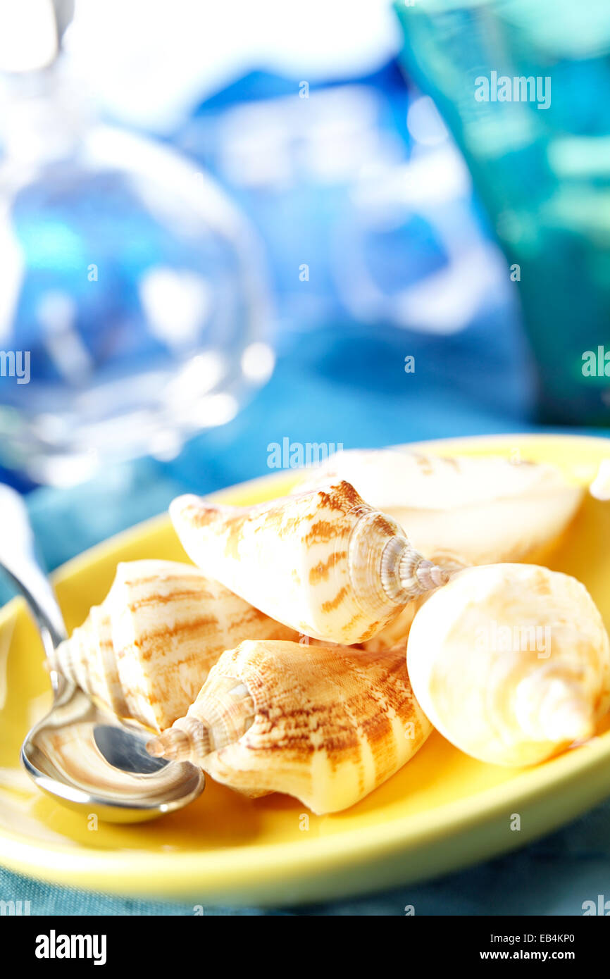 Plate, with shells and spoon Stock Photo - Alamy