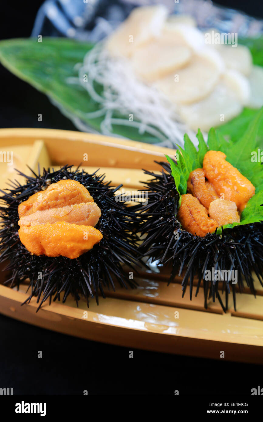 Hard spined sea urchin hi-res stock photography and images - Alamy