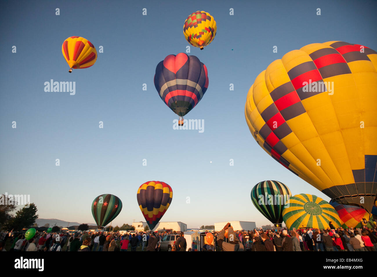 Many hot air balloons start to take flight at the Prosser Balloon Rally ...