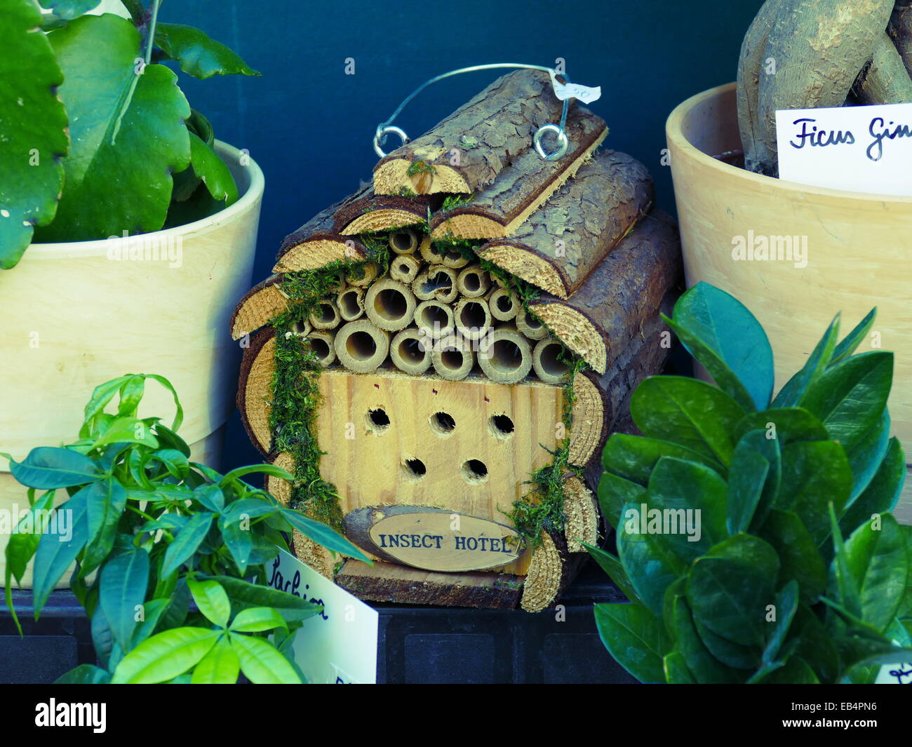 Miniature house home hi-res stock photography and images - Alamy