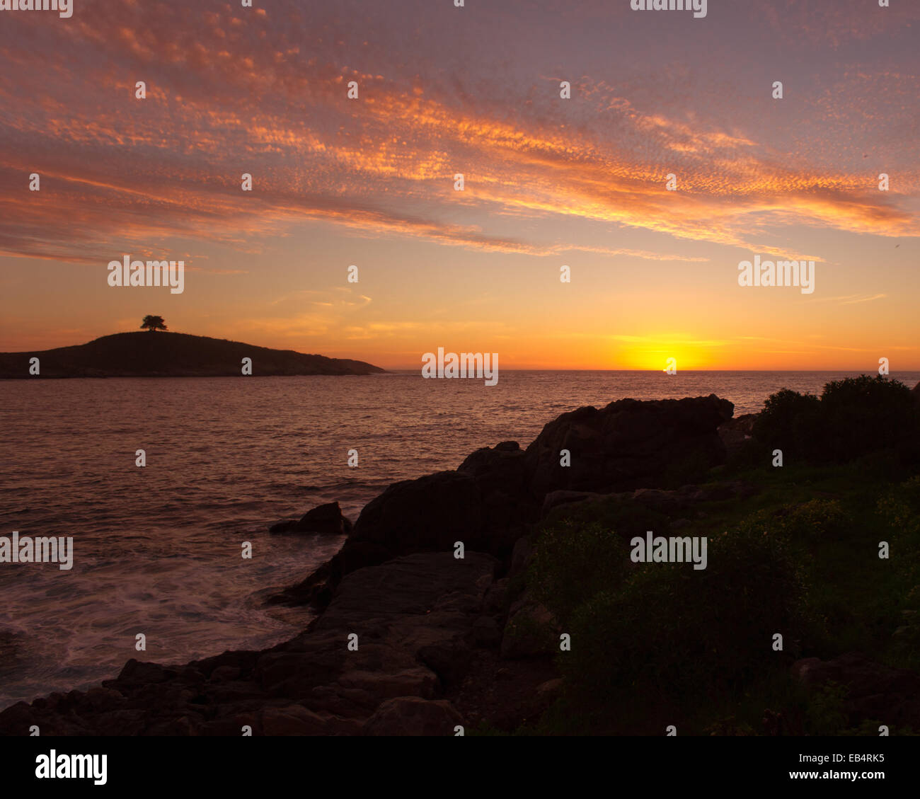 Lone Tree at Sunset Stock Photo - Alamy