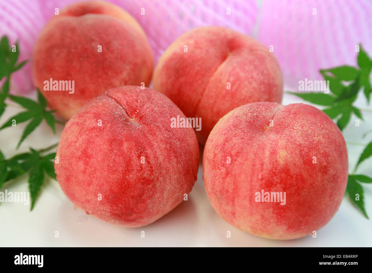 Peach photography hi-res stock photography and images - Alamy