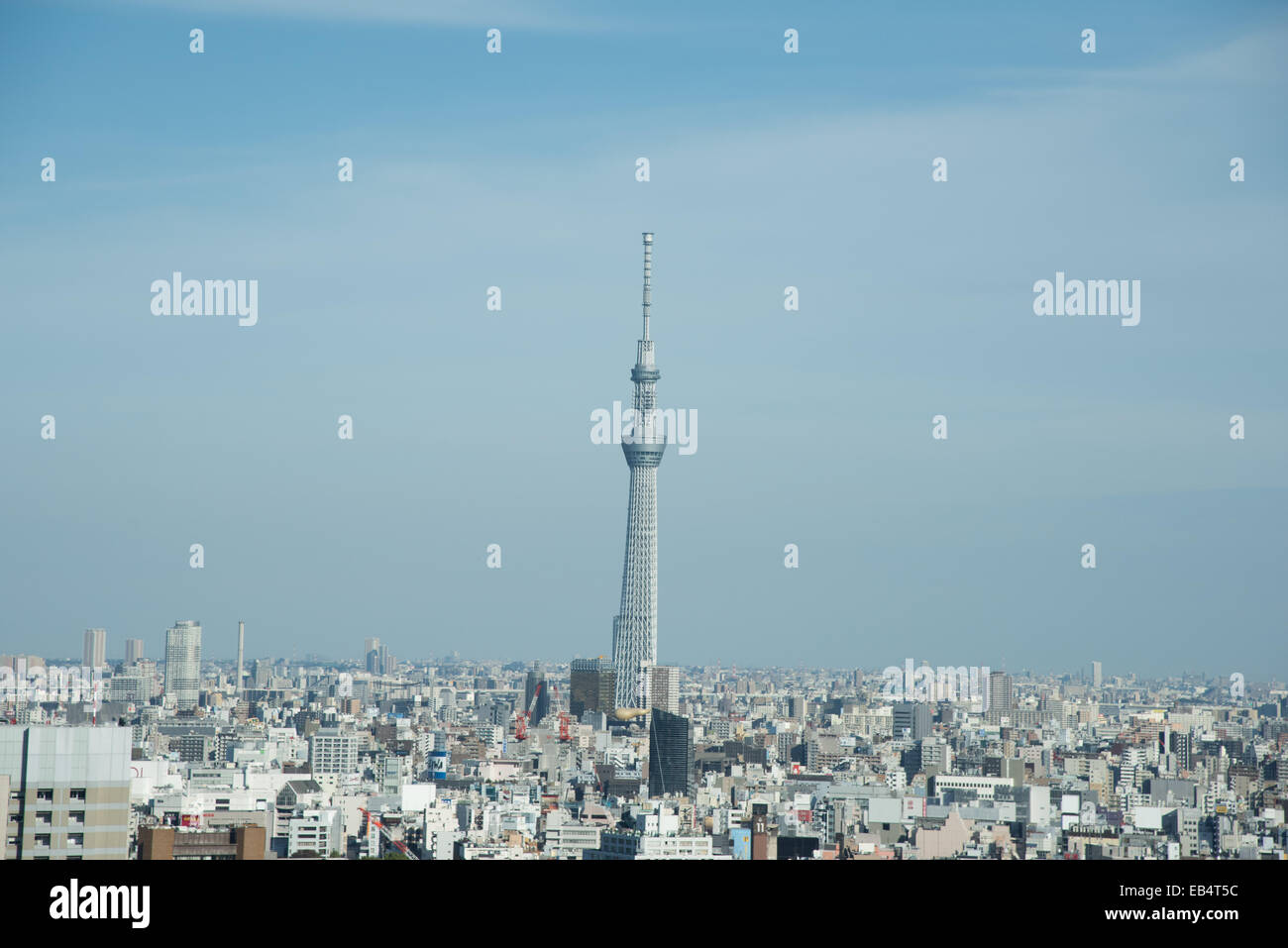 TOKYO SKYTREE,Sumida-Ku,Tokyo,Japan View from Bunkyo civic center Stock ...