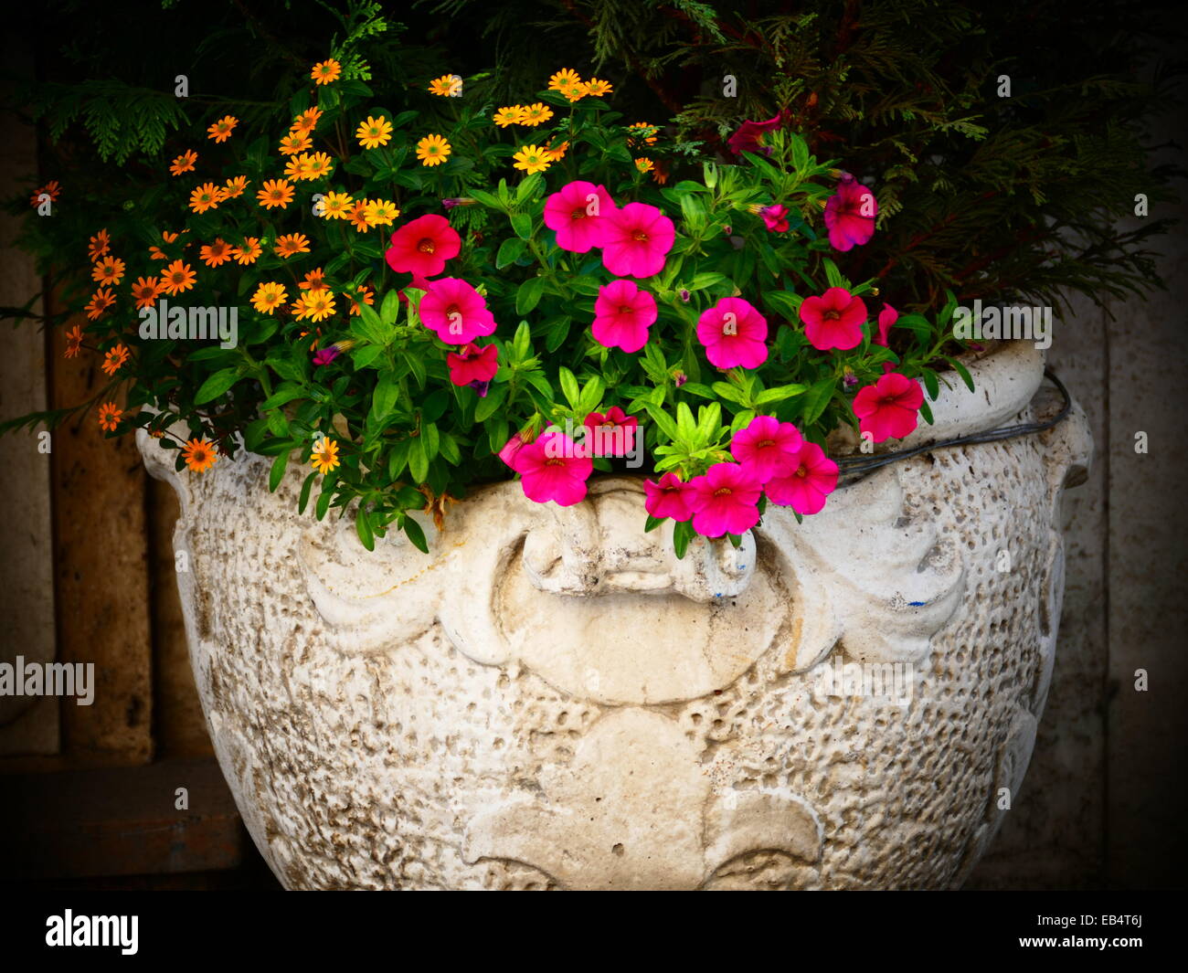 Plant in red pot hi-res stock photography and images - Alamy