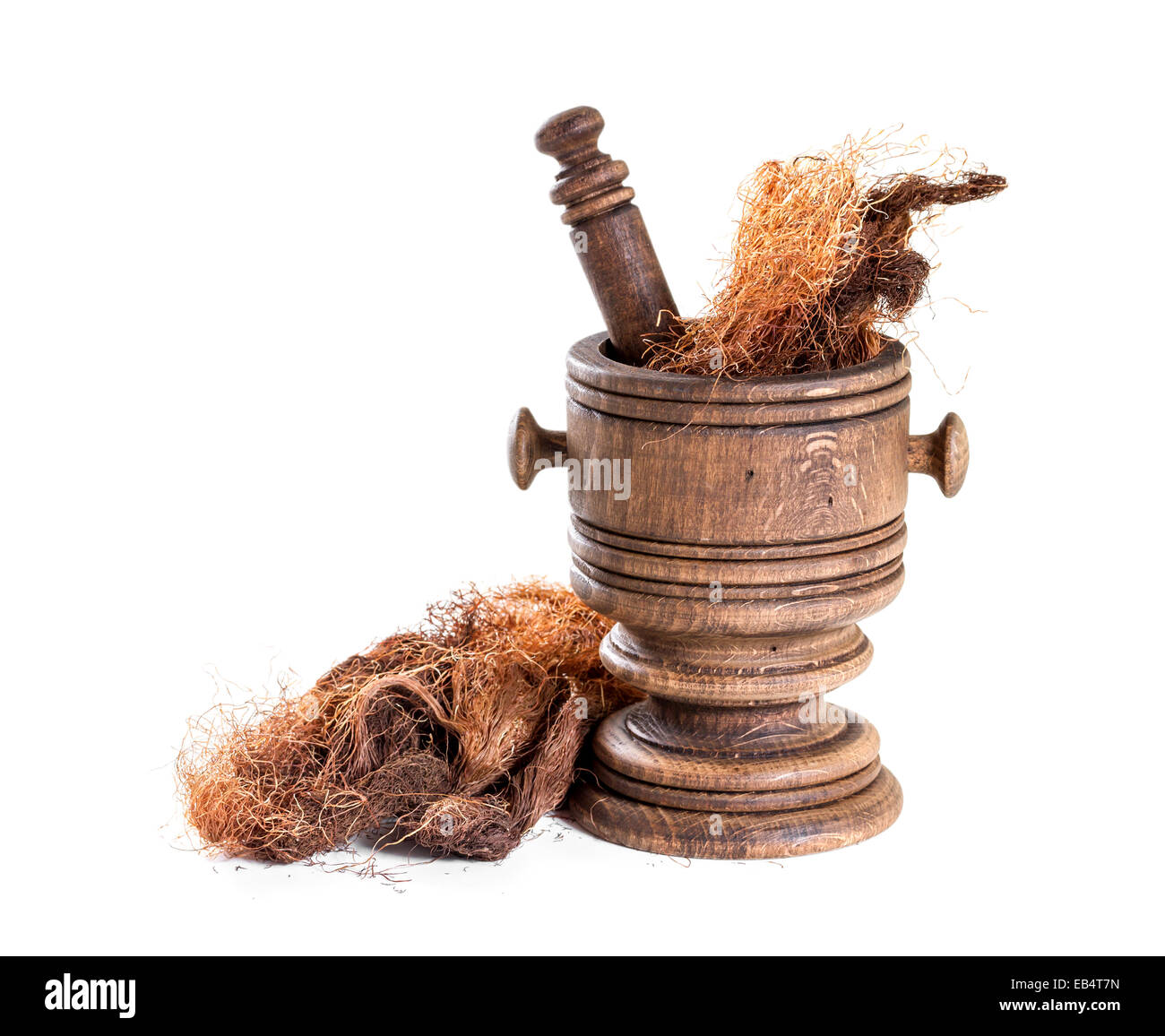 Dry corn silk (Stigmata Maydis) with mortar on a white background Stock ...