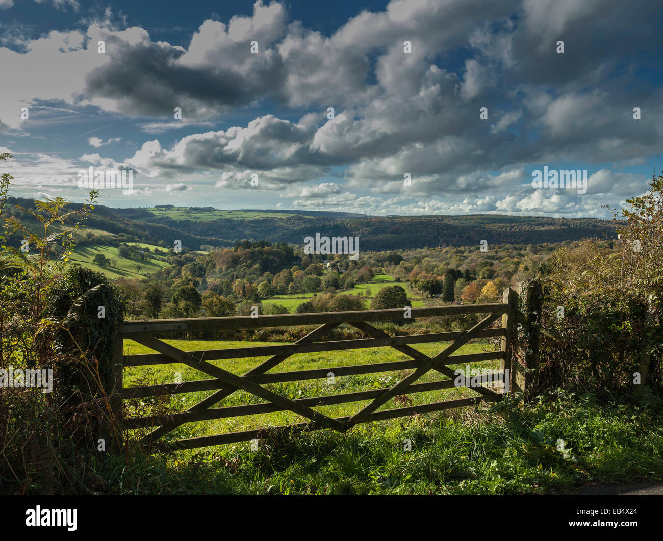LOOKING OVER FIVE-BARRED GATE AT VIEW FROM THE HUDNALLS NEAR ...