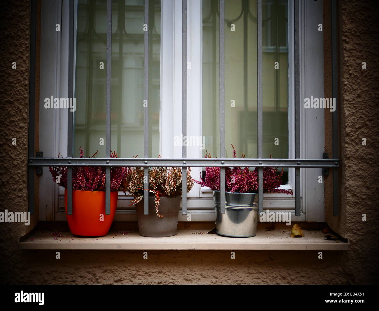 Behind plant pot hi-res stock photography and images - Alamy