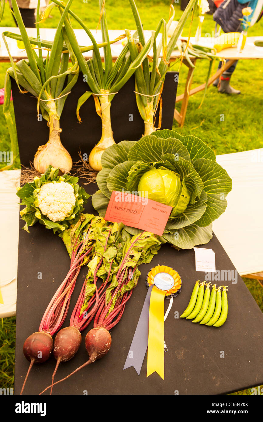 A competition for the best home grown vegetables at Reeth show ...