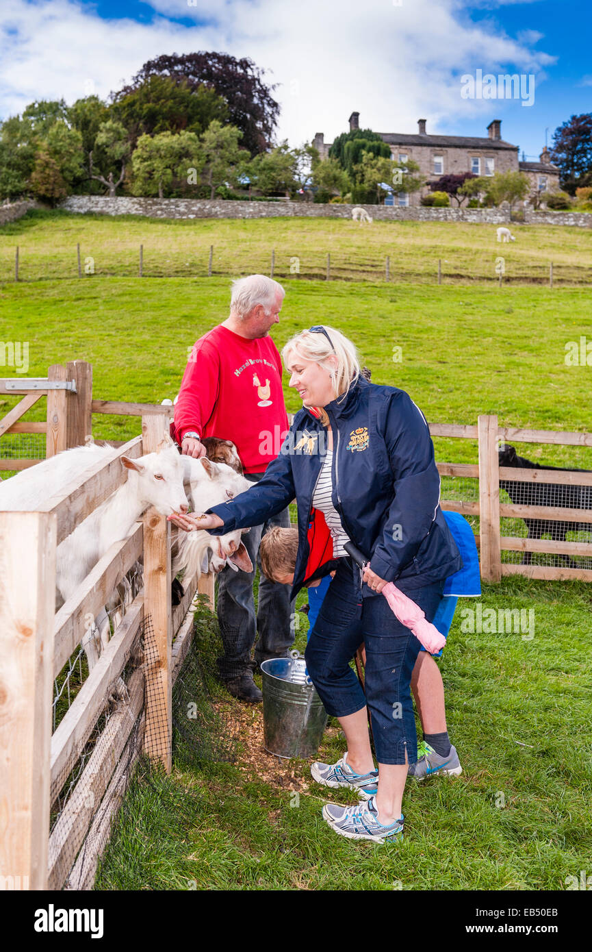 Yorkshire england english britain british people feeding hi-res stock ...