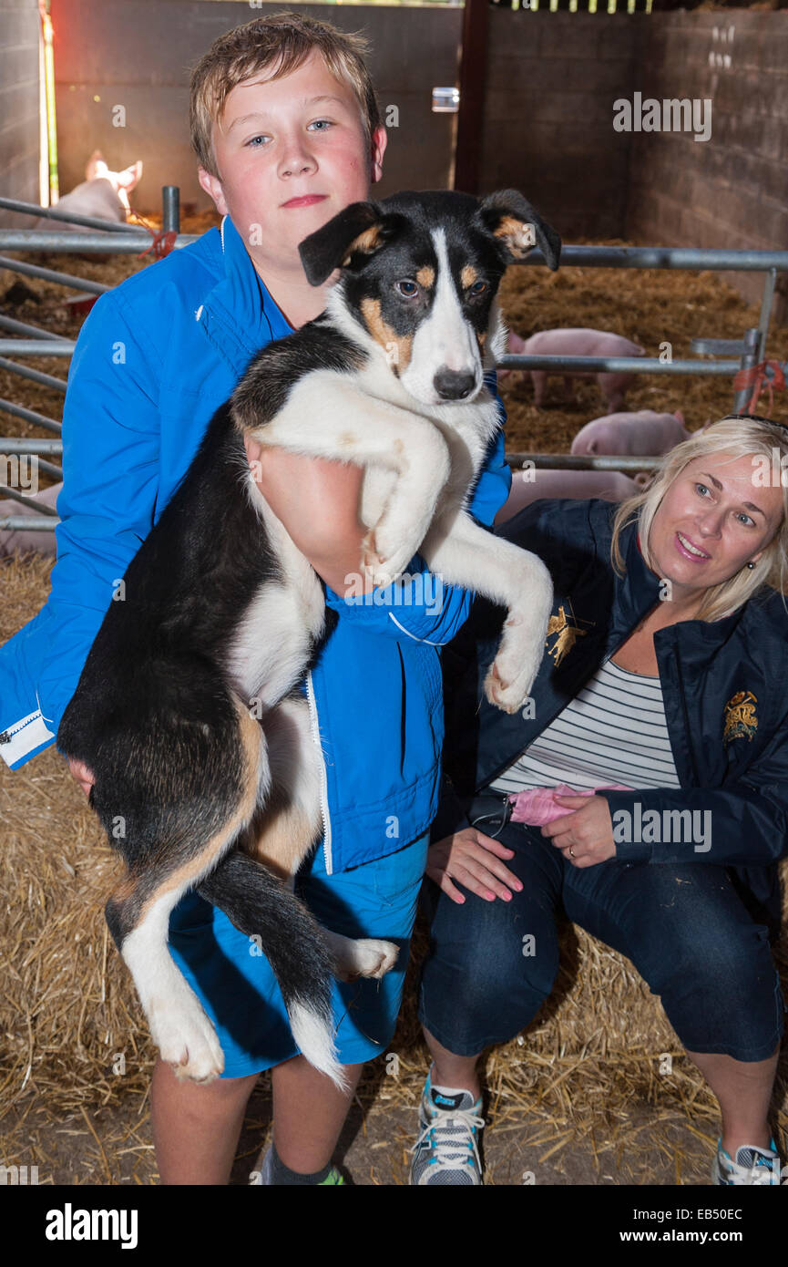 Holding a puppy at Hazel Brow Farm in the village of Low Row in ...