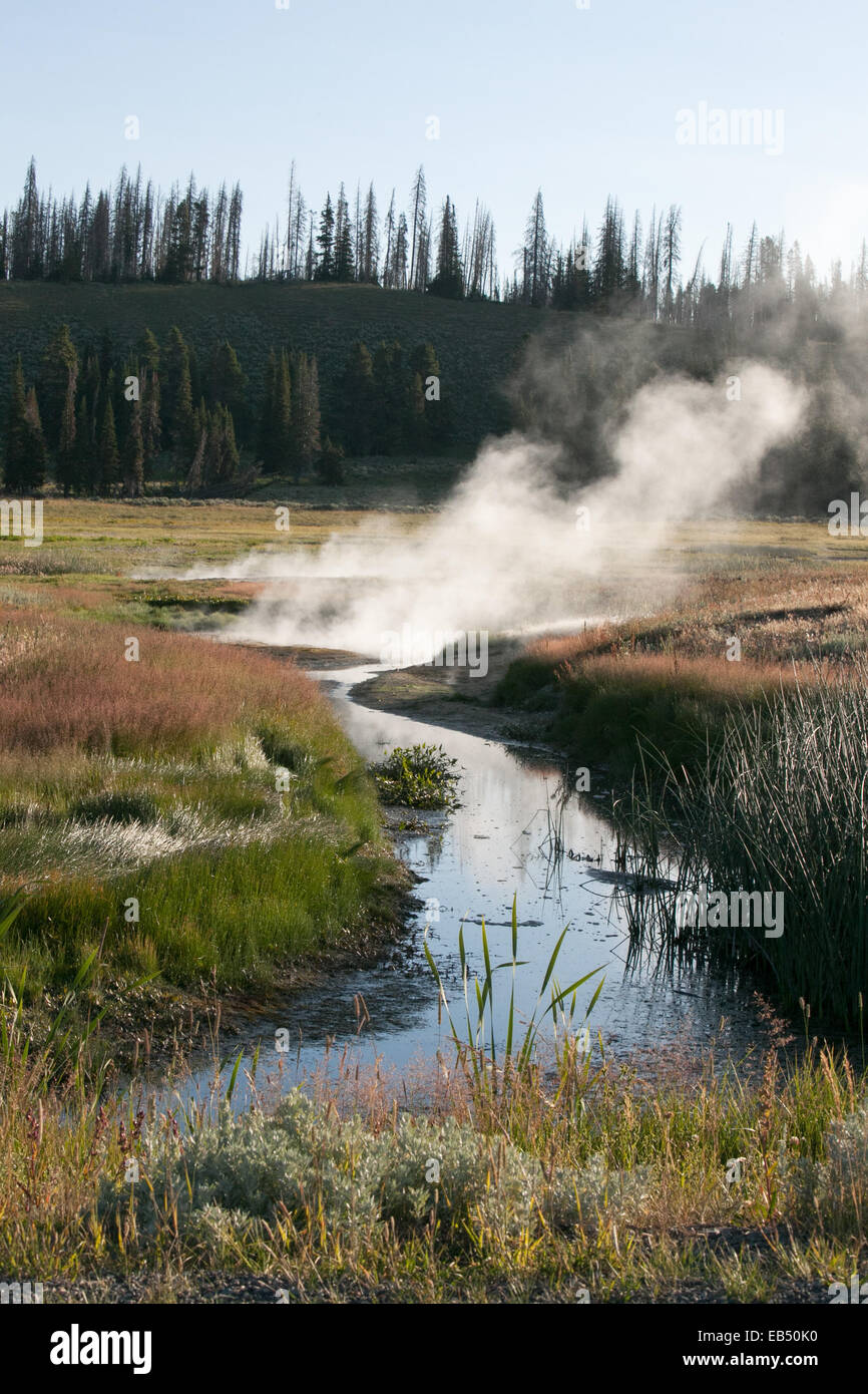 Small Pond Or Water Feature High Resolution Stock Photography and ...