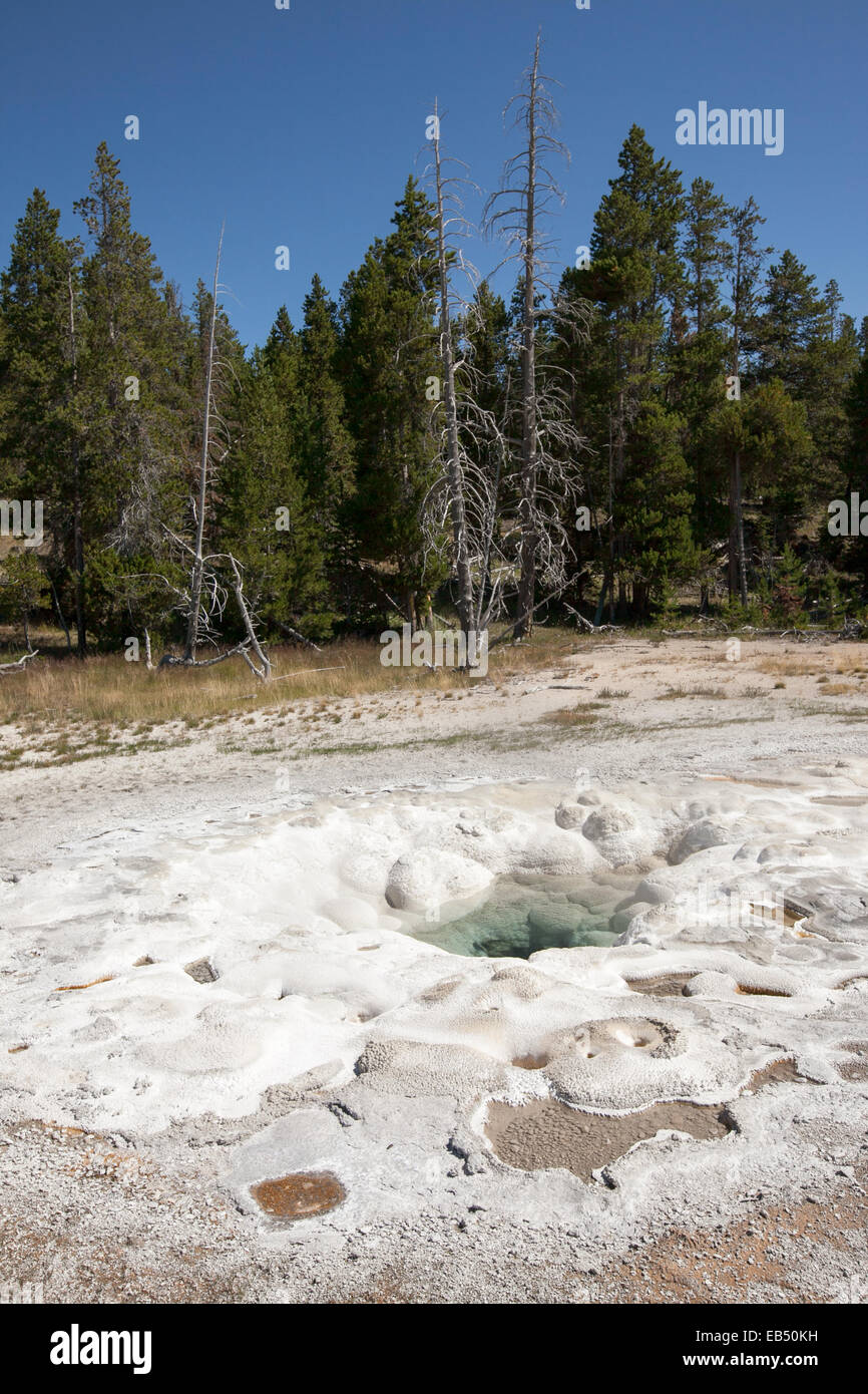 White features hi-res stock photography and images - Alamy