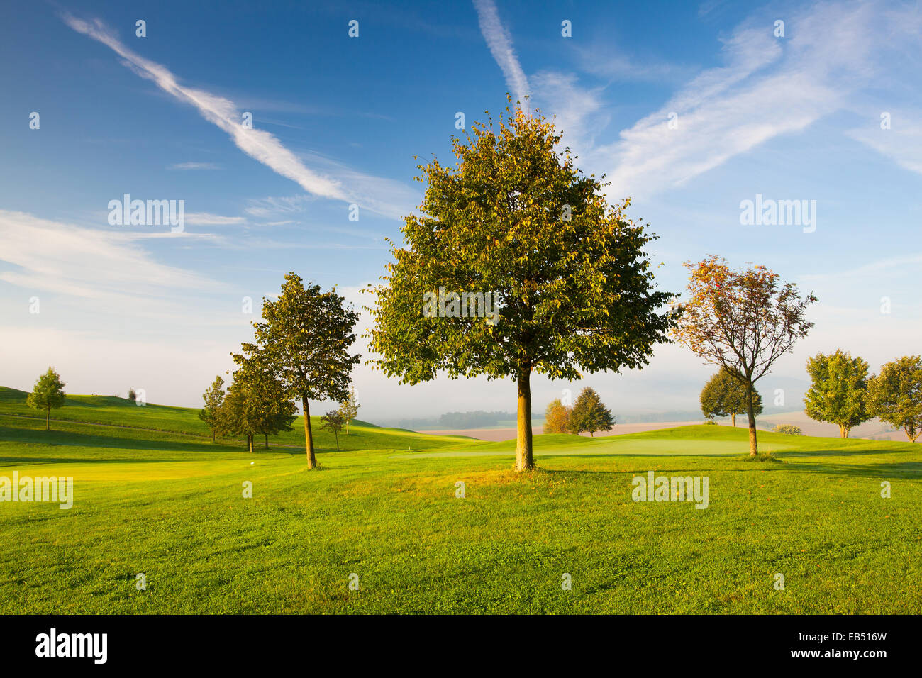 Misty morning on a empty golf course Stock Photo - Alamy
