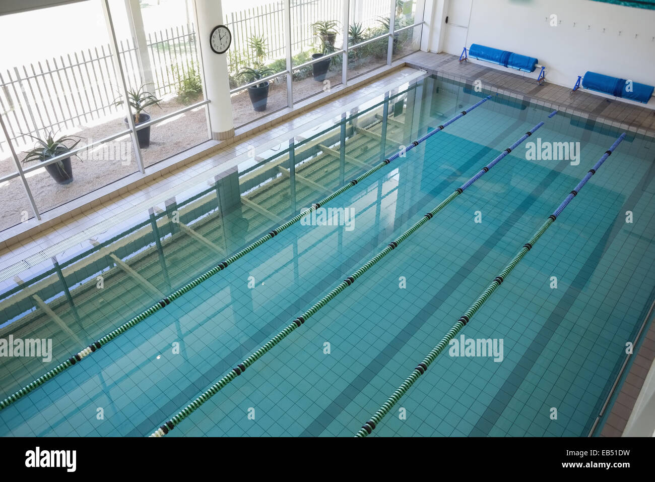 Swimming pool in fitness club Stock Photo - Alamy