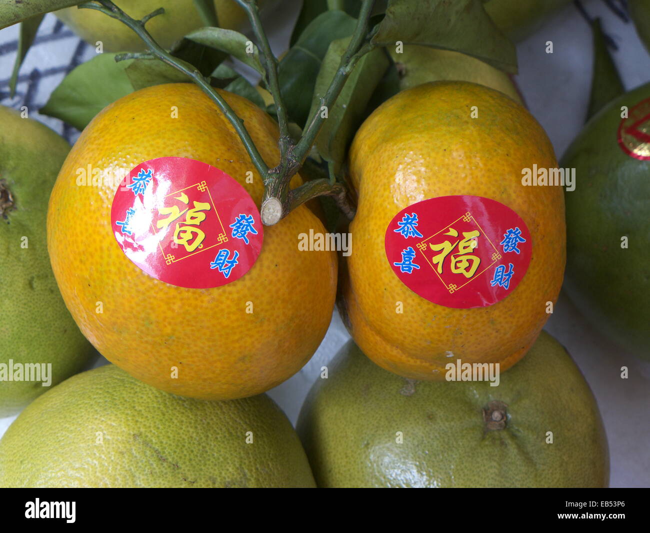 China Chinese Lunar New Year Orange Mandarin with Double Happiness ...