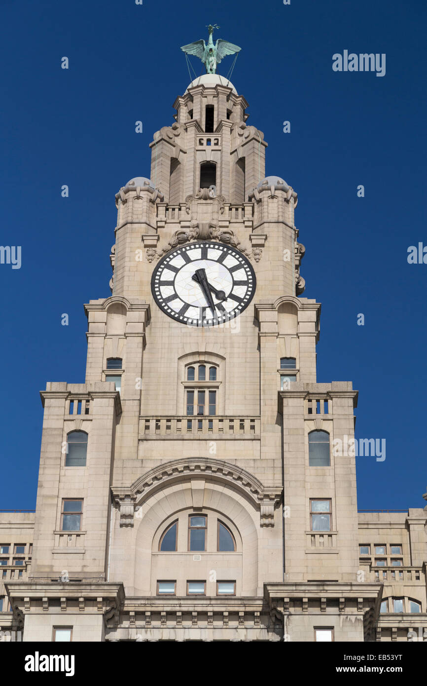 Royal liver building clock tower hi-res stock photography and images ...