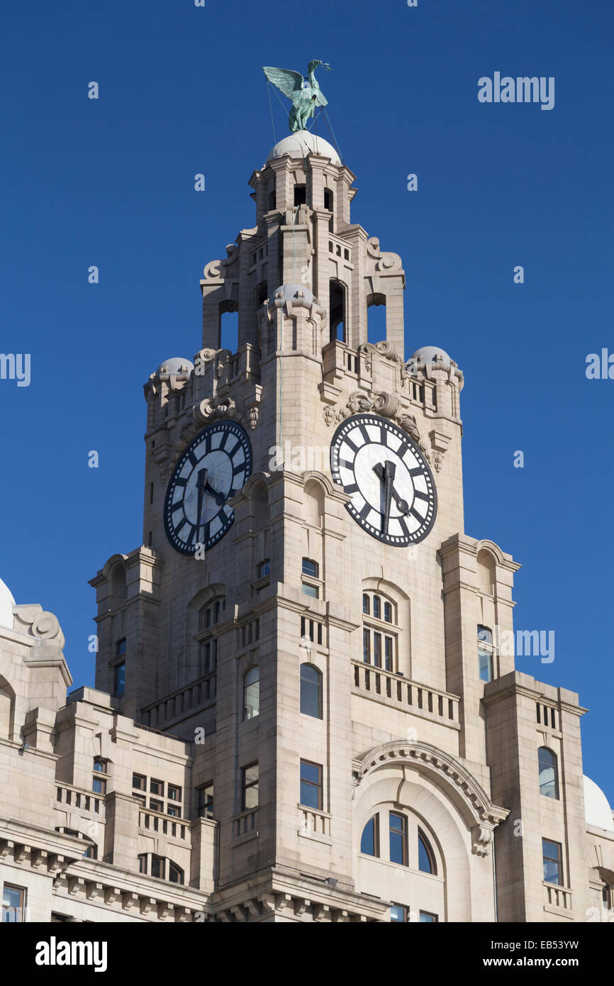 The liver building clock tower hi-res stock photography and images - Alamy