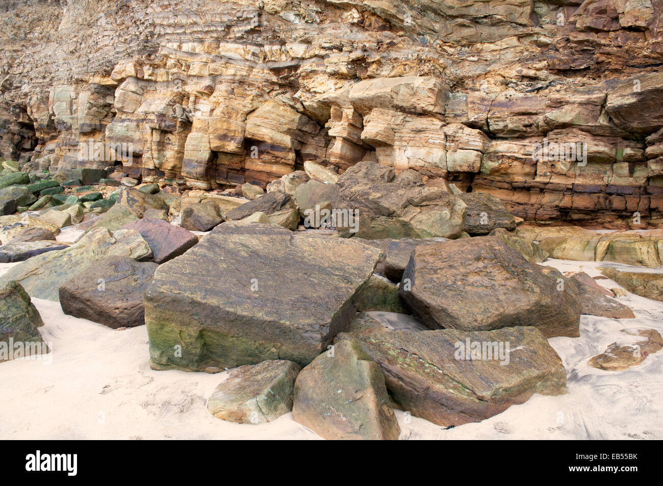Sandstone stratification seen at West Cliff Whitby Stock Photo - Alamy