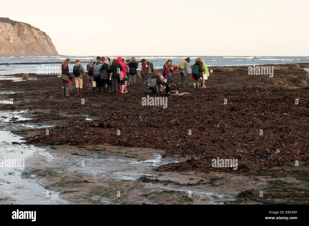 Robin Hood's Bay students exploring rock pools Stock Photo - Alamy